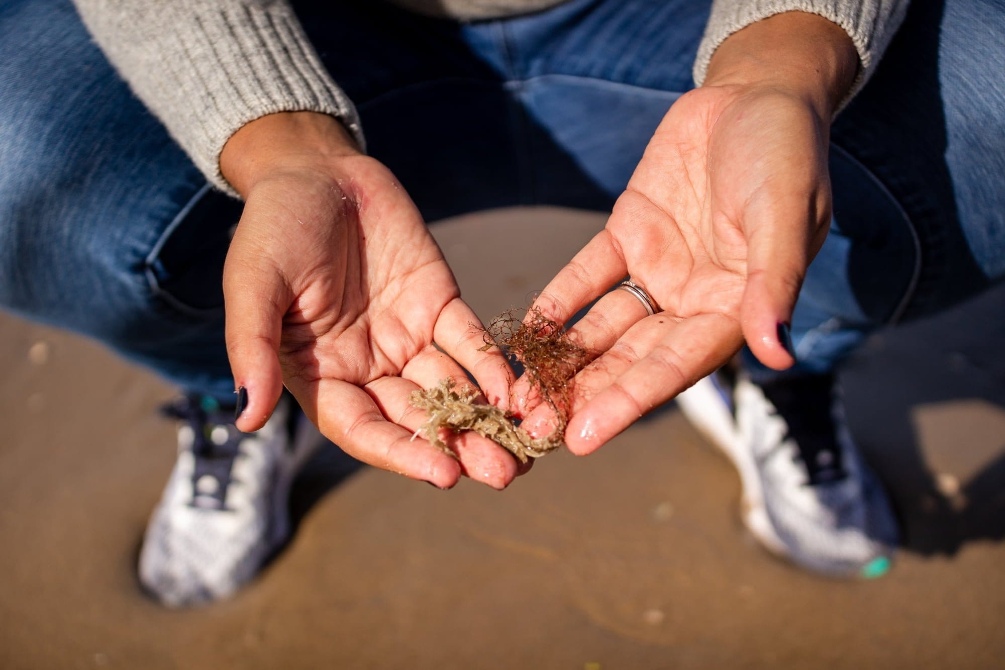 Kathryn Larsen aka the Seaweed Girl, builds houses from seaweed